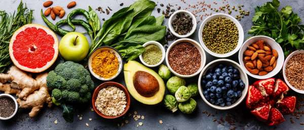 Nourish: Embracing Plant-Based Diets | PORTFOLIO Magazine