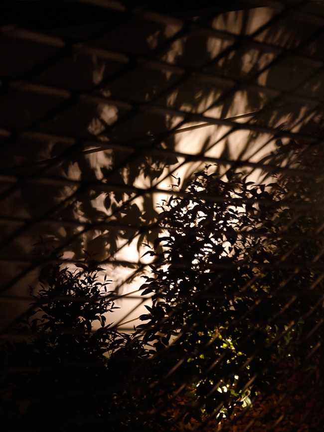 Portfolio Magazine: Inside Homes Supplement 2019 | Peter Tay, Singapore